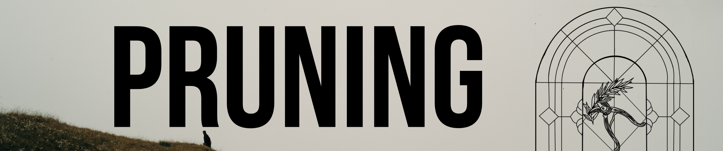 Lent Series – Pruning | Blackwood Church of Christ